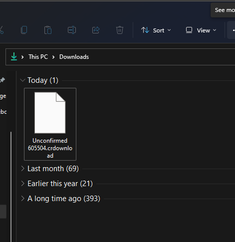 unconfirmed-crdownload-1 – TorogiPro